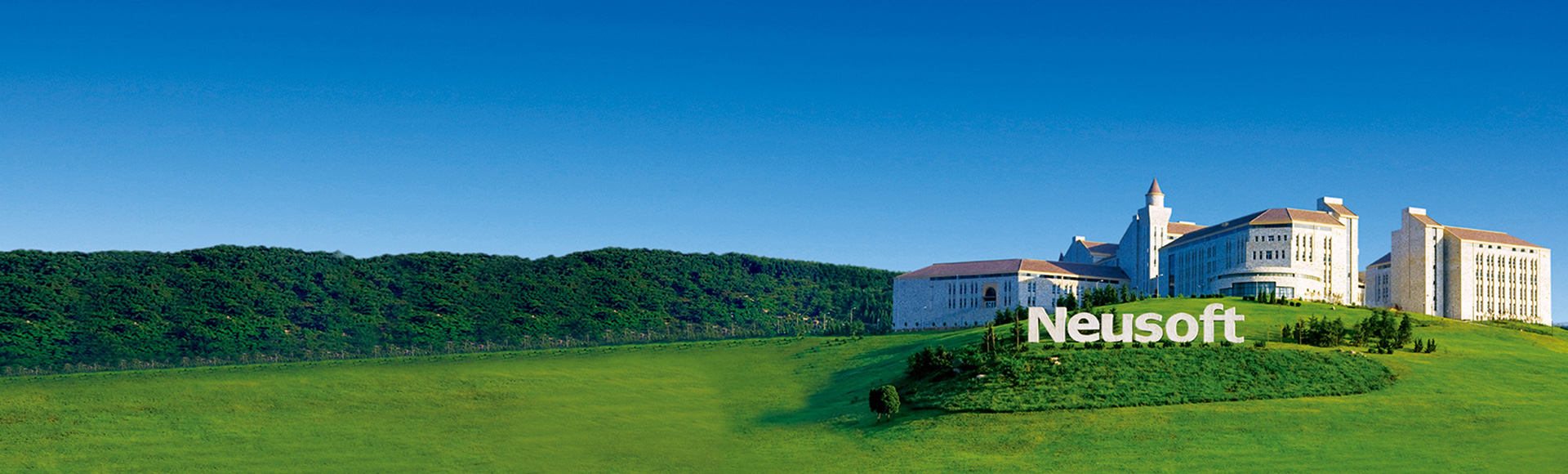 Neusoft Technology Solutions